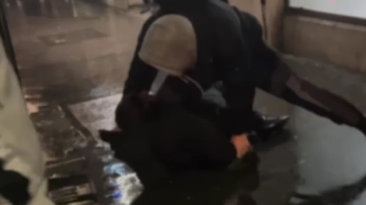 Predator napao djevojčicu usred Londona, a Hrvat Ivan Skoko ga oborio ...